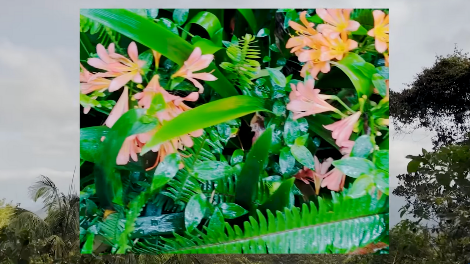 The Environmental Music Prize – Amplifying the voices of artists who ...