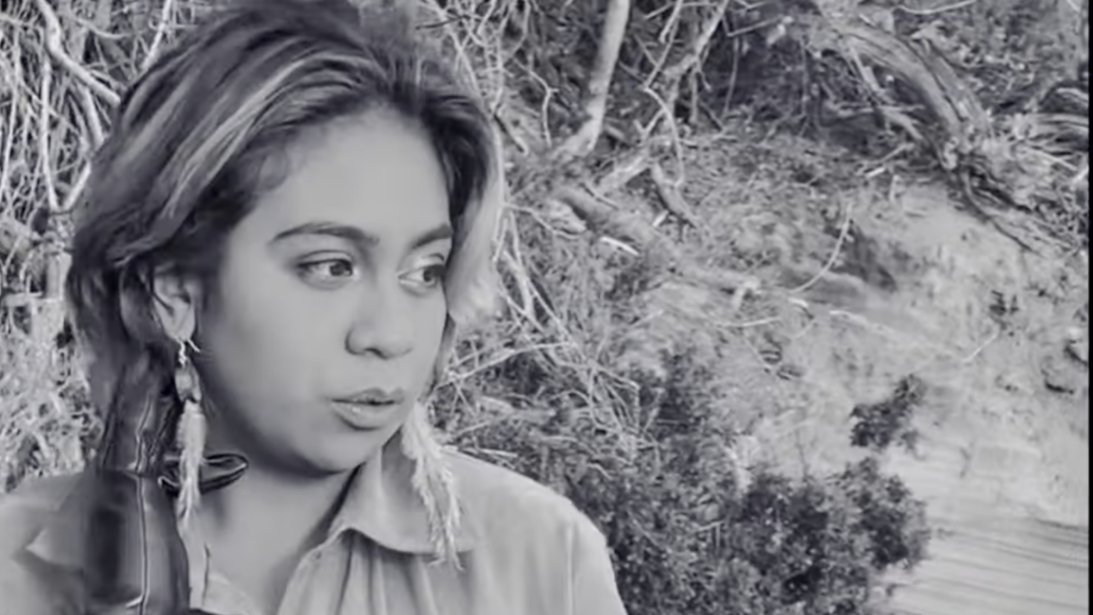 The Environmental Music Prize – Amplifying the voices of artists who ...